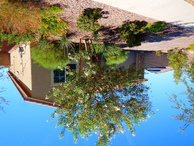 Private Bedroom / Shared BathroIom in Beautiful Henderson! | Furnished ...