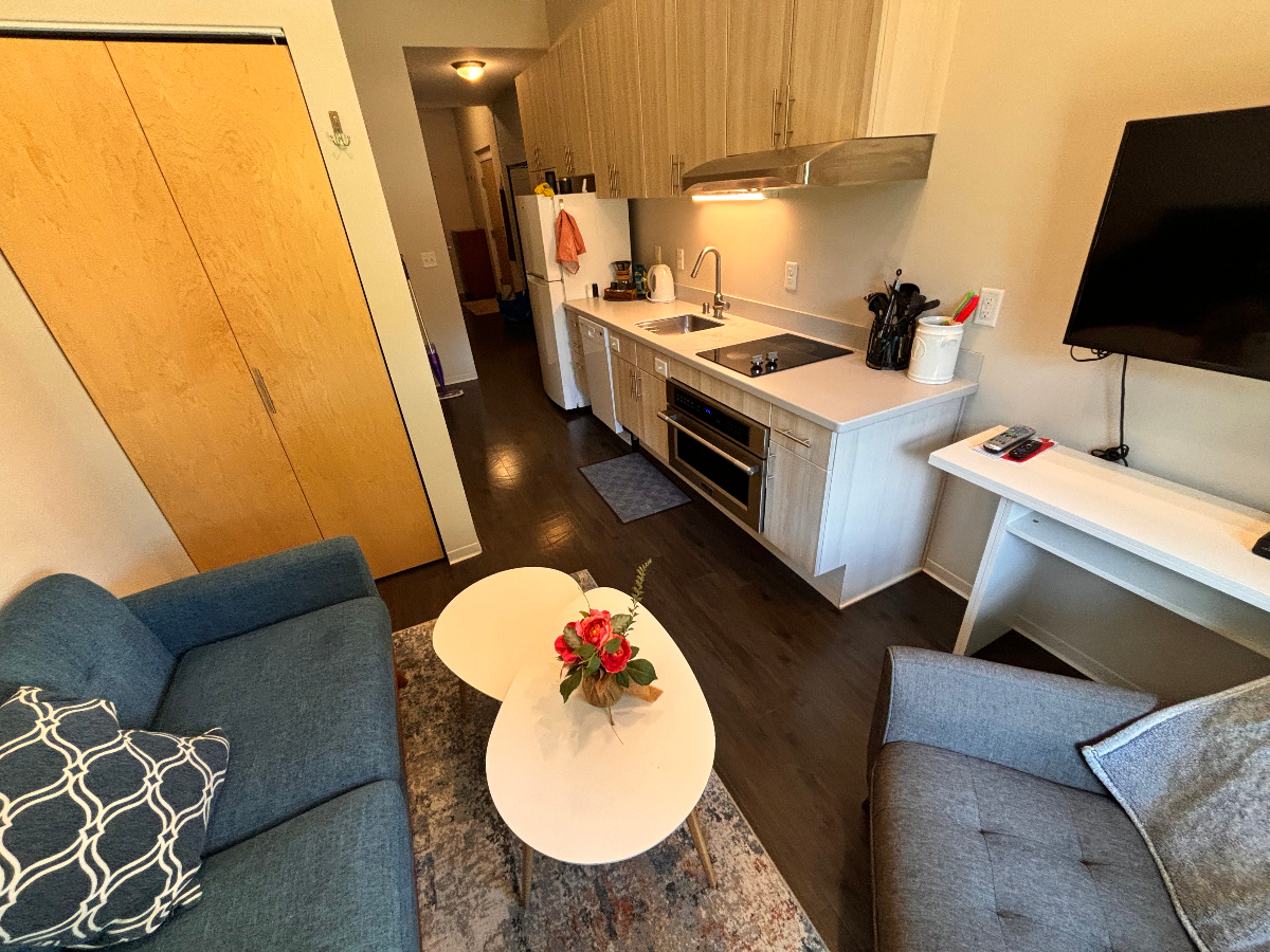 1 Bedroom Downtown NEW Apartment
